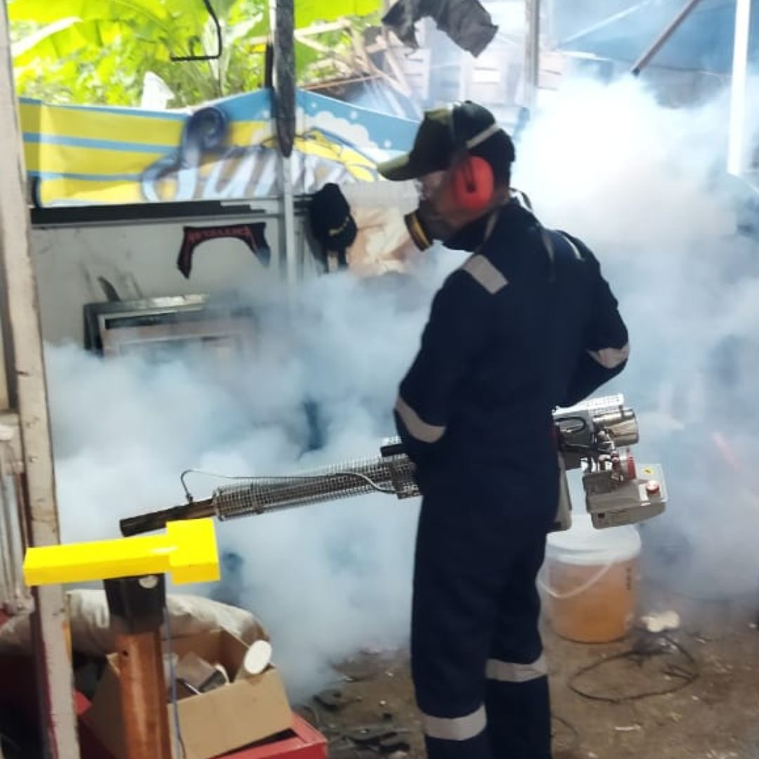 Dynamic Pest – Your Pest Management of Choice