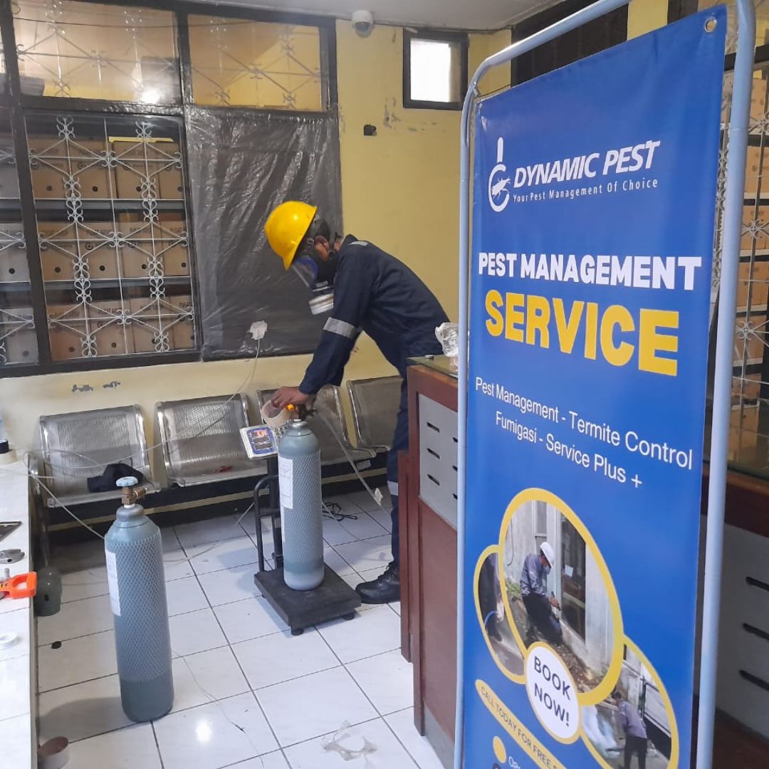 Dynamic Pest – Your Pest Management of Choice